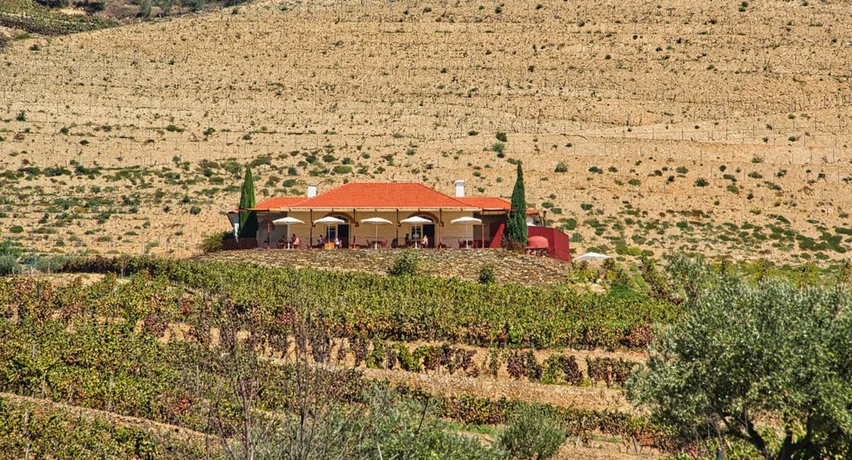 Pinhão Wine Tasting Guide 2026: Douro Valley Experience | ItiMaker ...